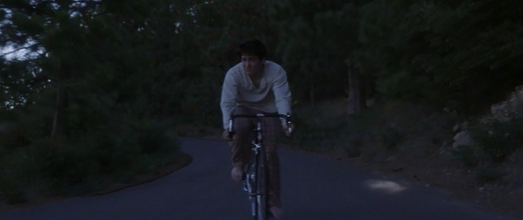 'Donnie Darko', Explained | Ending & Meaning - The Cinemaholic