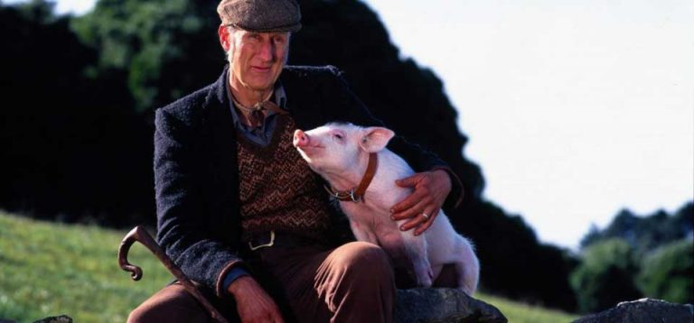 Best Animal Movies | 12 Top Films About Animal Lovers - Cinemaholic