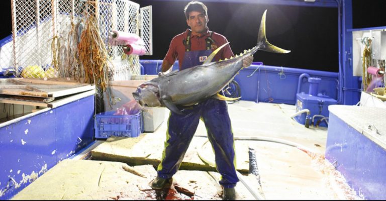 7 Best Fishing Shows on Netflix (2019, 2020) - Cinemaholic