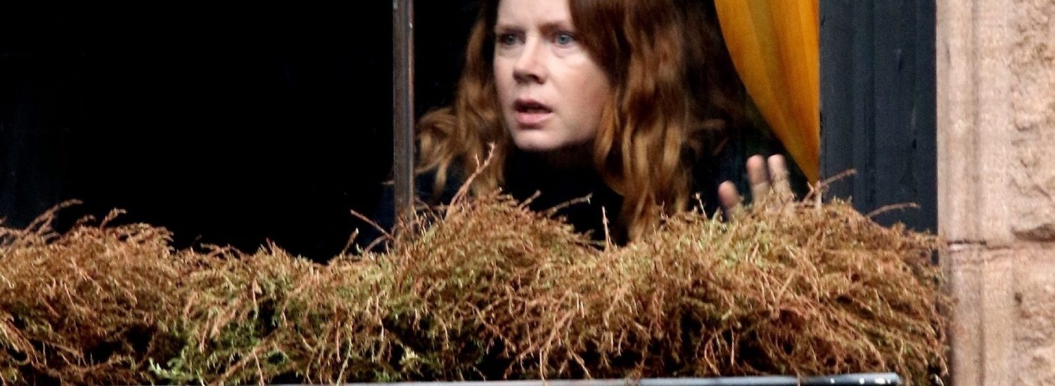 The Woman in the Window Movie: Release Date, Cast, Plot, News, Trailer 2020