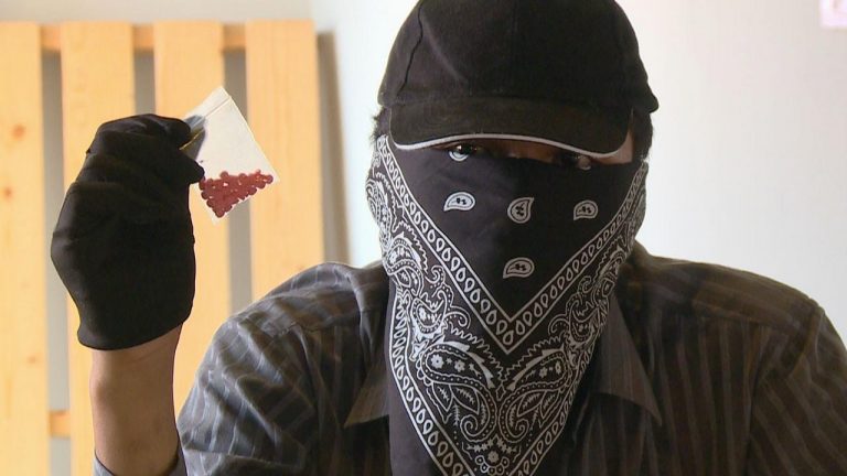 Shows Like ZeroZeroZero | 7 Best TV Series Similar to ZeroZeroZero