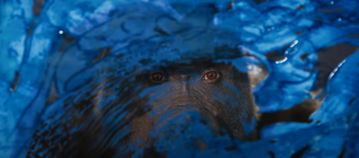 Is The One And Only Ivan a True Story? Is the Movie Based on a Real ...